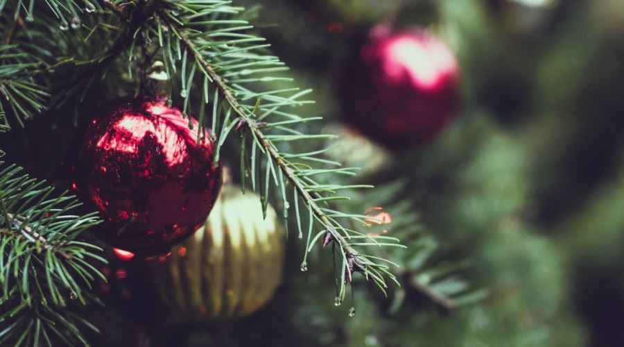 Holiday IAQ Hazards: Identifying and Mitigating Air Quality Risks ...